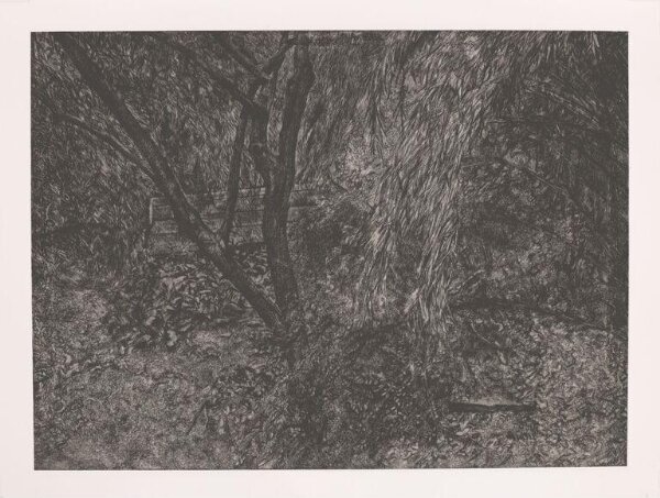 The Painter's Garden | Balakjian, Marc | Freud, Lucian | V&A Explore ...