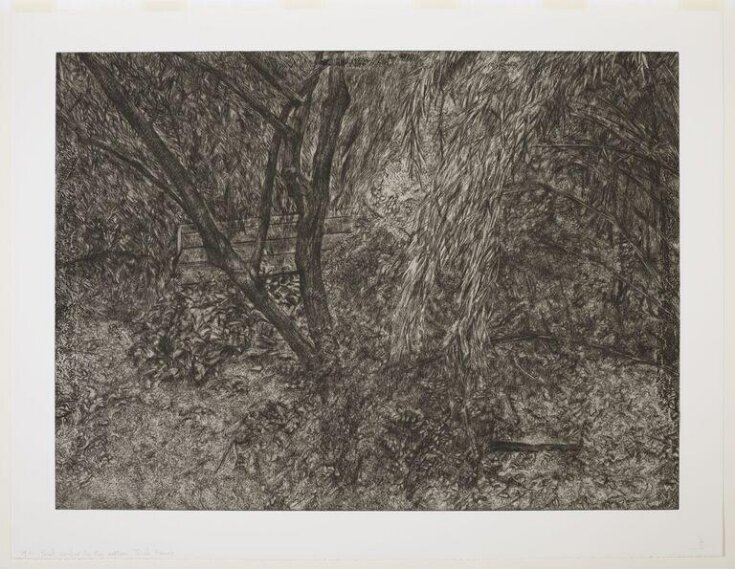 The Painter's Garden | Balakjian, Marc | Freud, Lucian | V&A Explore ...