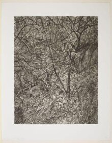 Garden in Winter | Balakjian, Marc | Freud, Lucian | V&A Explore The ...