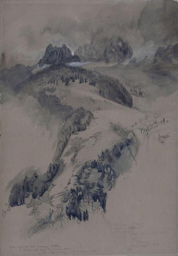 Pines under the Petit Charmoz | Ruskin, John | V&A Explore The Collections