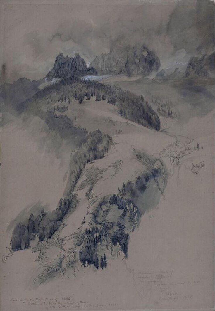 Pines under the Petit Charmoz | Ruskin, John | V&A Explore The Collections