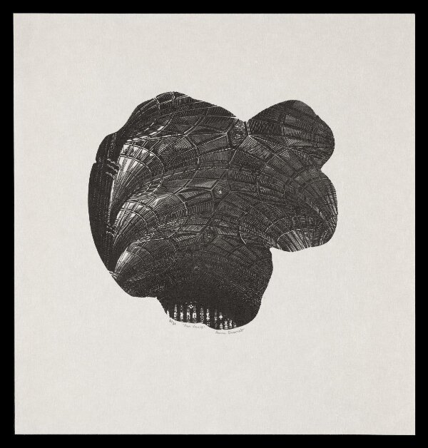 Fan Vault | Anne Desmet | V&A Explore The Collections