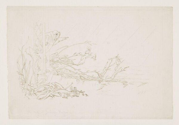 The frog looking out of his house | Beatrix Potter | V&A Explore The ...