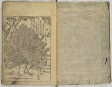 A Beginner’s Pictorial Encyclopedia of Natural History (Ehon shoshin ...