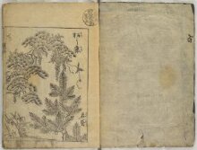 A Beginner’s Pictorial Encyclopedia of Natural History (Ehon shoshin ...