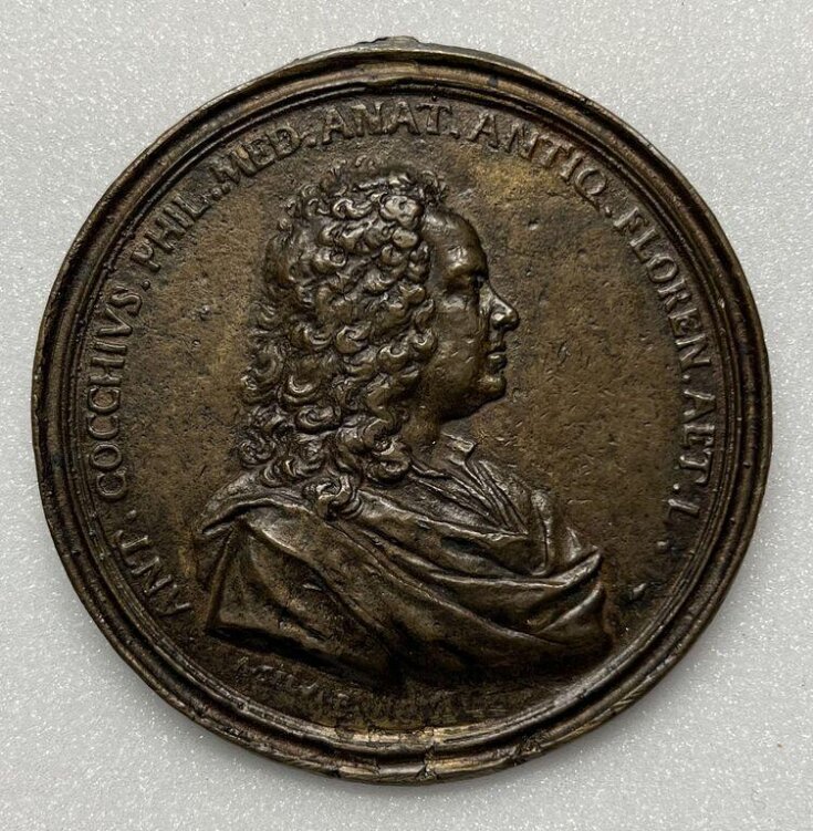 Antonio Cocchi | Selvi, Antonio | V&A Explore The Collections