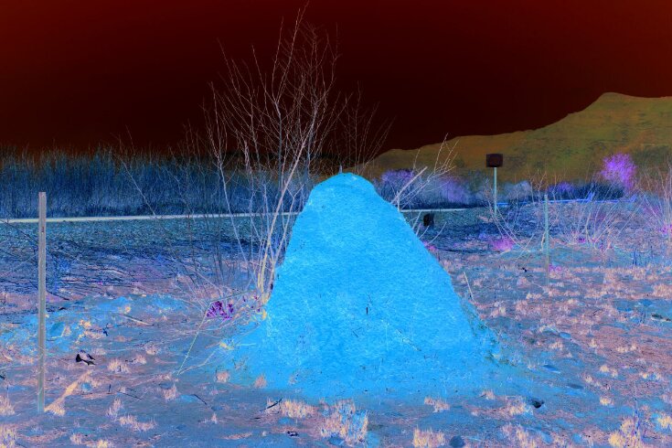 Rusplaas, Limpopo, 2016 | Roger Palmer | V&A Explore The Collections