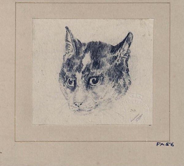 Drawing of a cat | Edwin Landseer | V&A Explore The Collections