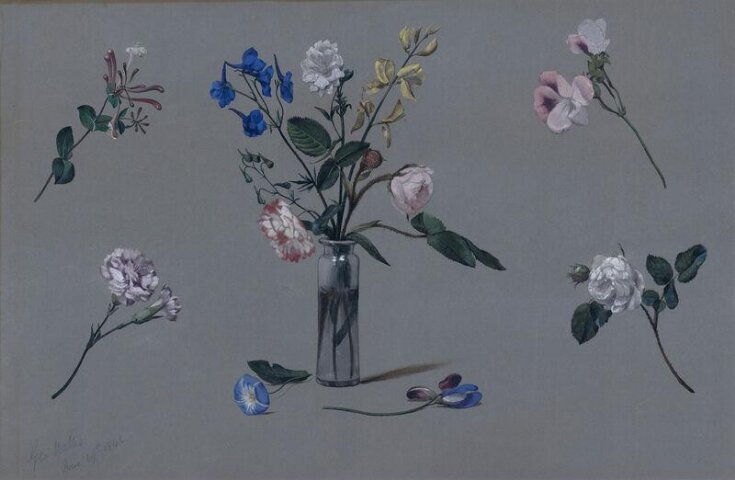 Flower study | George Wallis | V&A Explore The Collections