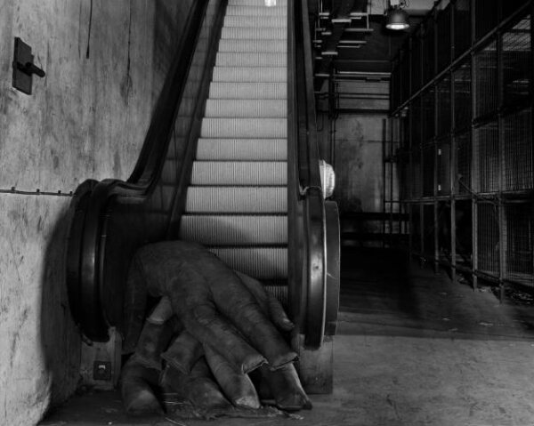 Escalator | Sarah Pickering | V&A Explore The Collections