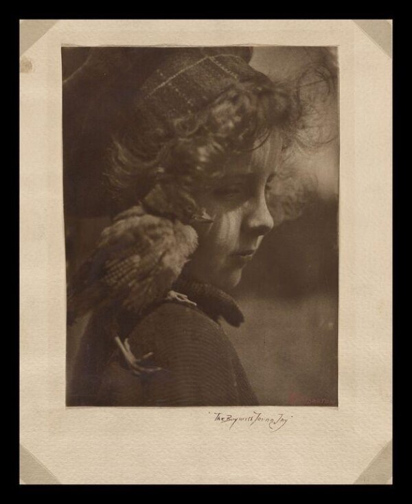 The Boy with Young Jay | Barton, Emma Rayson | V&A Explore The Collections