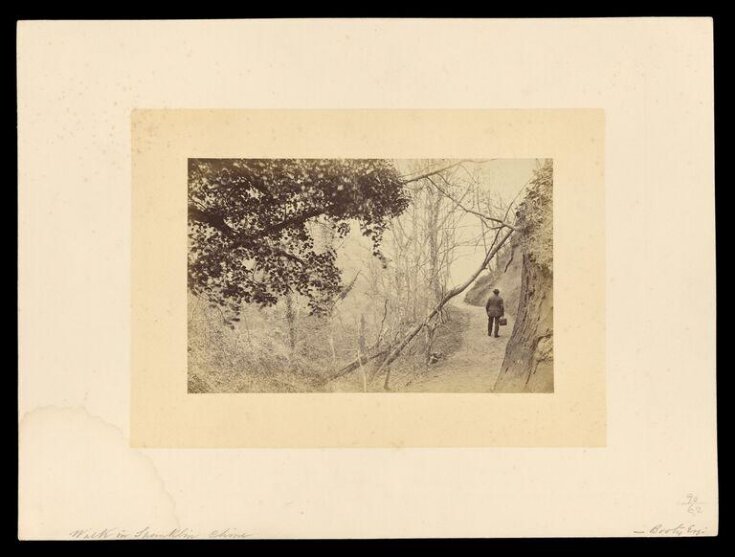 Walk in Shanklin Chine | Borup, Charles Christian | V&A Explore The ...